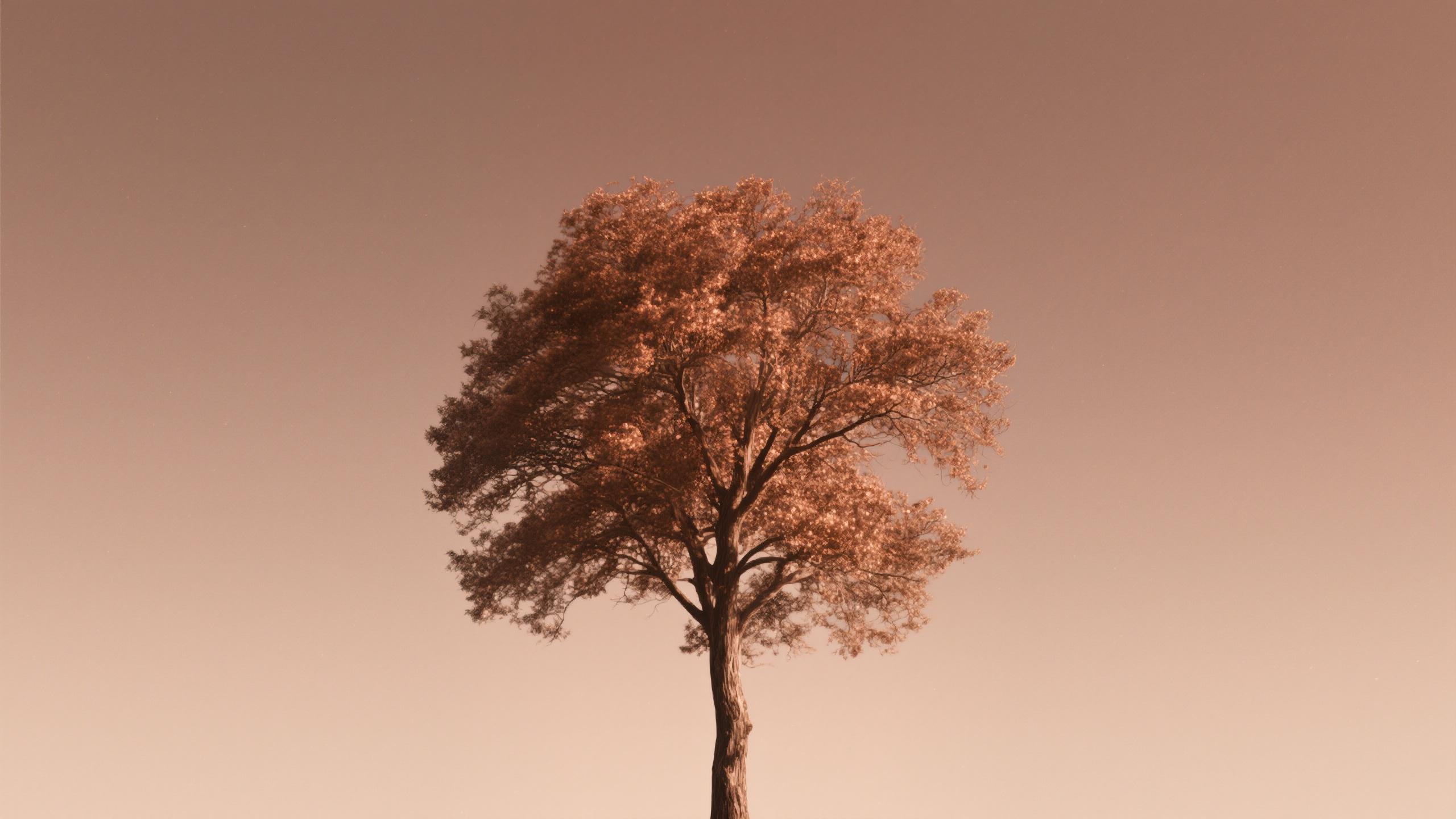Alpha Sector 报告：为何“TREE”代币进入我们的视野